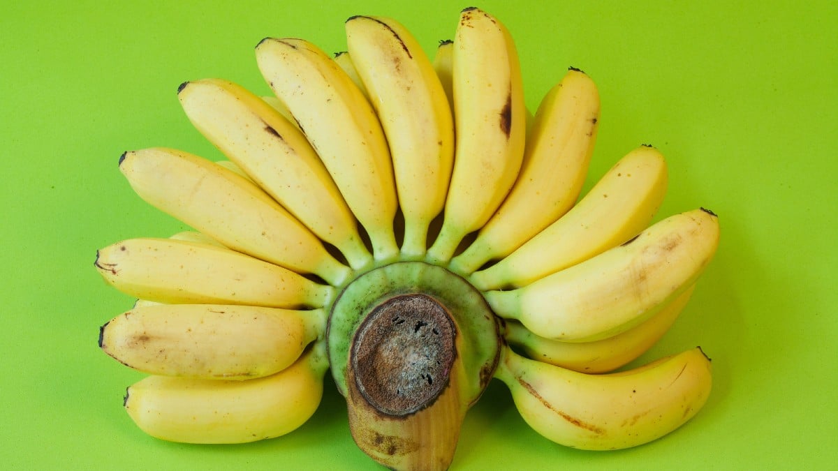 15 Surprising Foods That Can Help People Sleep Better - My Plant Based Plan