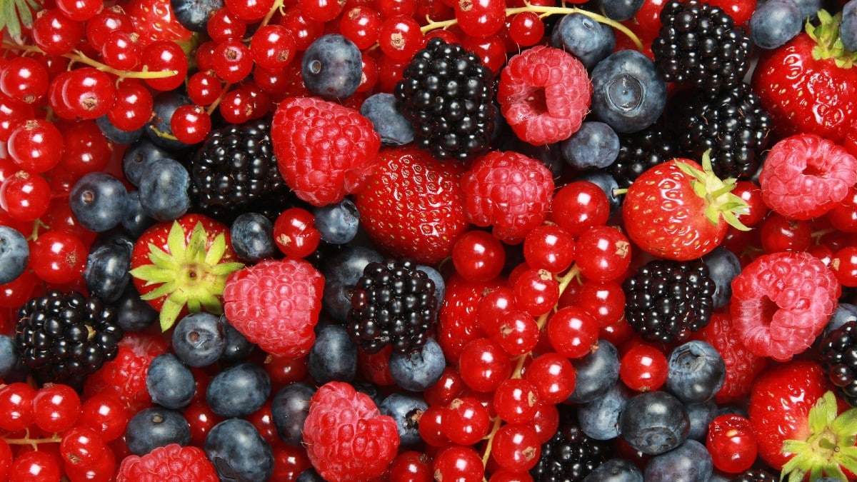 15 Miracle Foods That Can Improve Peoples Immune System - My Plant ...