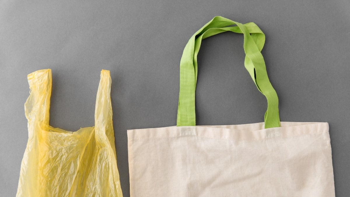 15 Easy Actions That Can Help Save the Planet - My Plant Based Plan