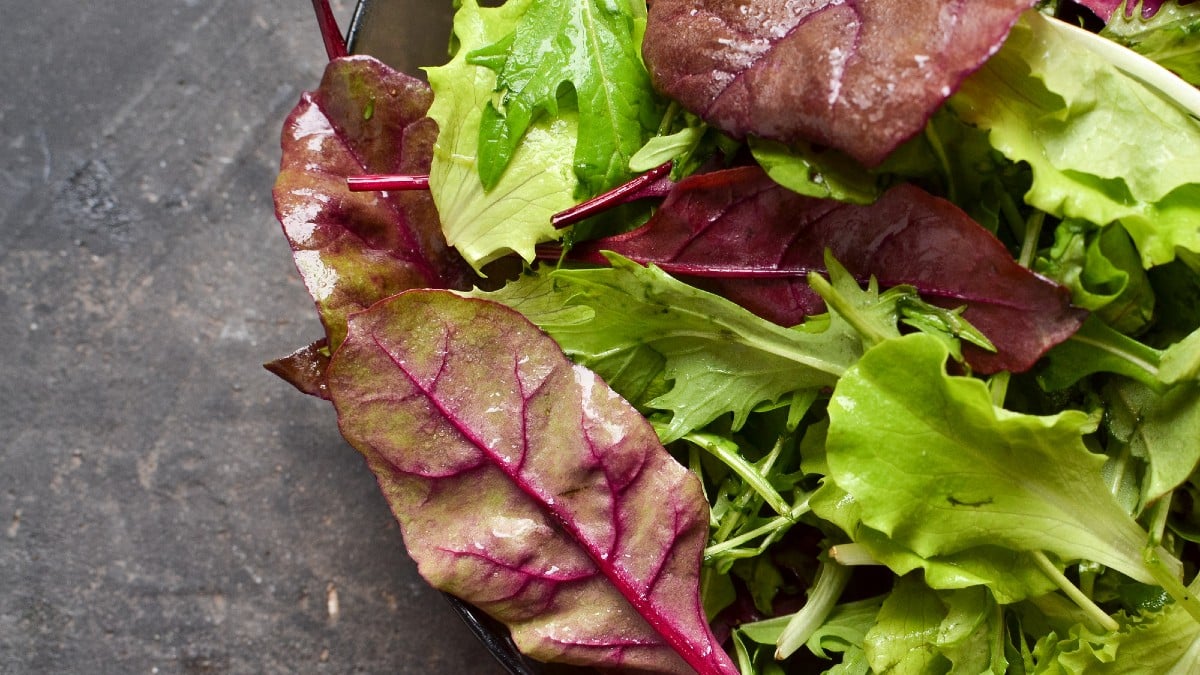15 Flavorful Salad Creations That Will Excite Your Palate - My Plant ...