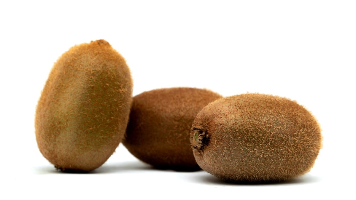 15 Late Night Snacks That Actually Boost Peoples Metabolism - My Plant ...