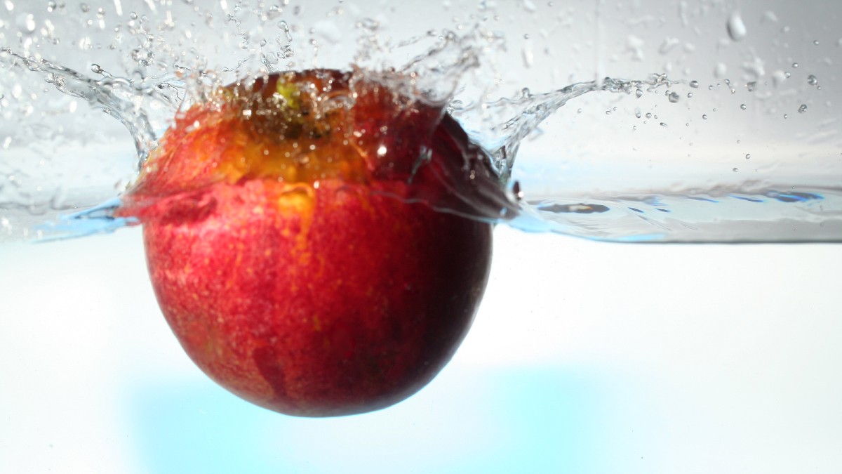 15 Food Facts People Struggle To Believe Is True - My Plant Based Plan