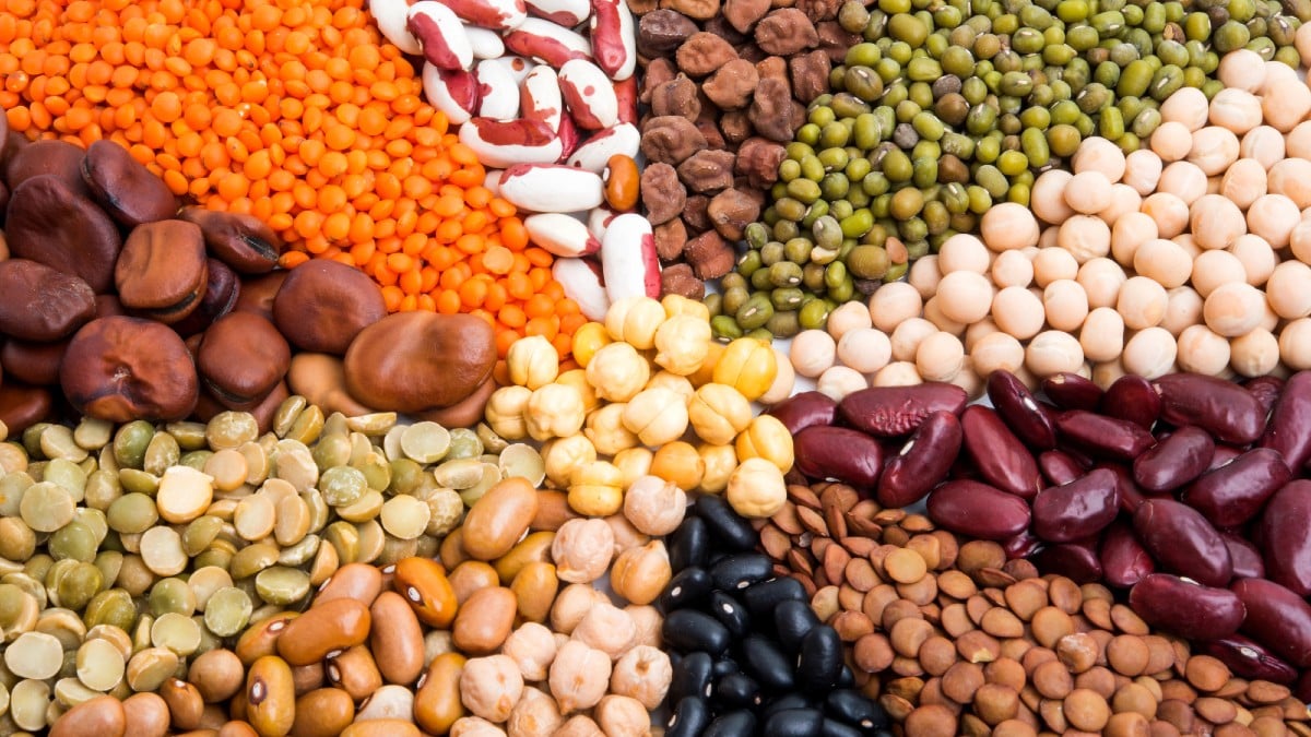 15 Simple Foods With Powerful Health Benefits - My Plant Based Plan