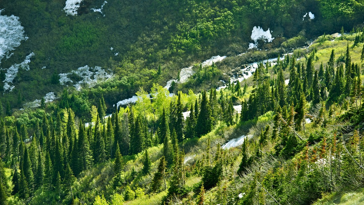 15 Vacation Destinations The Ultra Rich Love To Visit - My Plant Based Plan