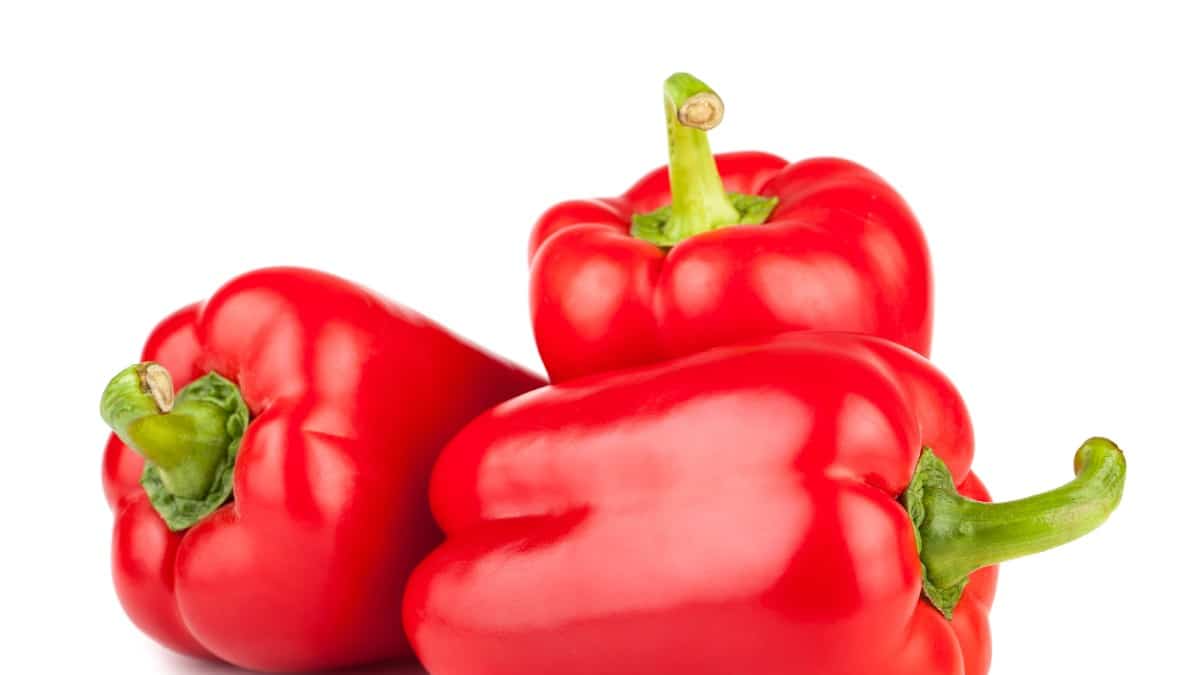 15 Simple Foods That Can Help Burn Belly Fat - My Plant Based Plan