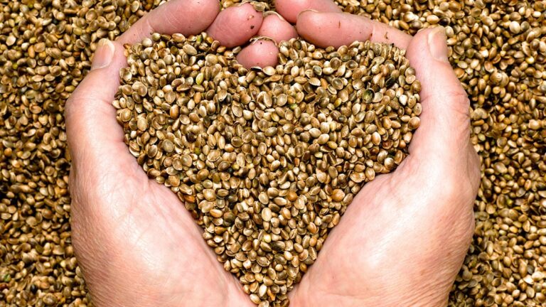 14 Vision-Protecting Foods Containing Nutrients That Reduce Eye Strain ...
