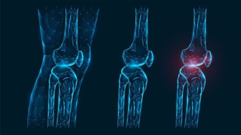 The 14-Day Joint Renewal Protocol: Movements That Reverse Decades Of ...