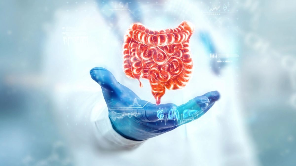 18 Gut Destroyers Hiding In Healthy Meals (Gastroenterologists Are ...